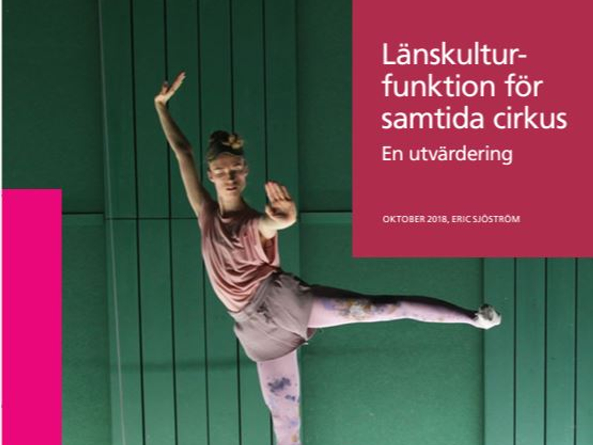 Länskulturfunktion för samtida cirkus - Region Stockholm