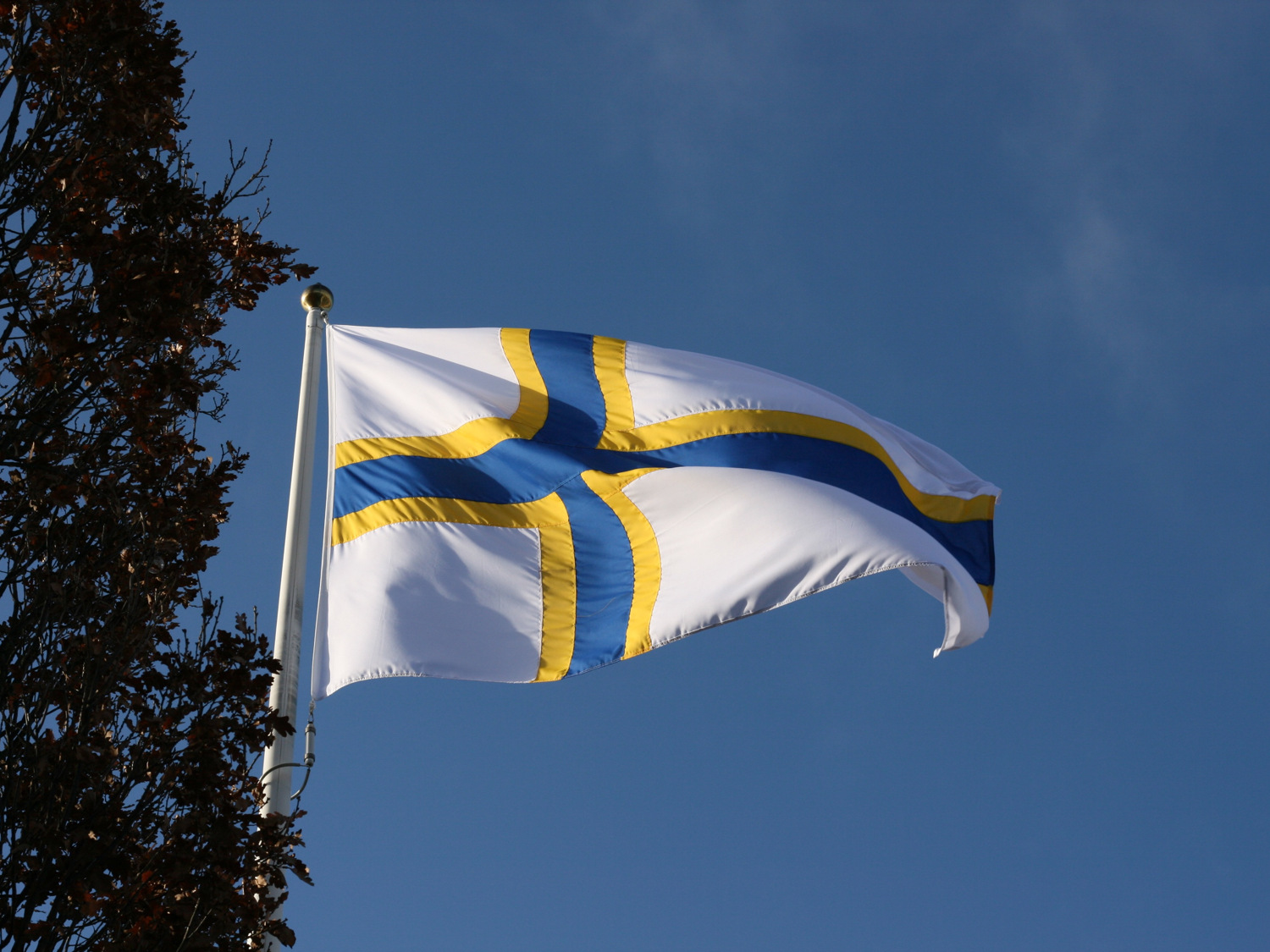 Idag den 24 februari är det sverigefinnarnas dag - Nyheter - Region ...