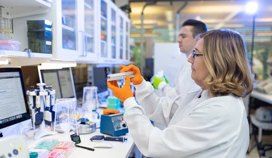 Forskning och innovation - Region Stockholm